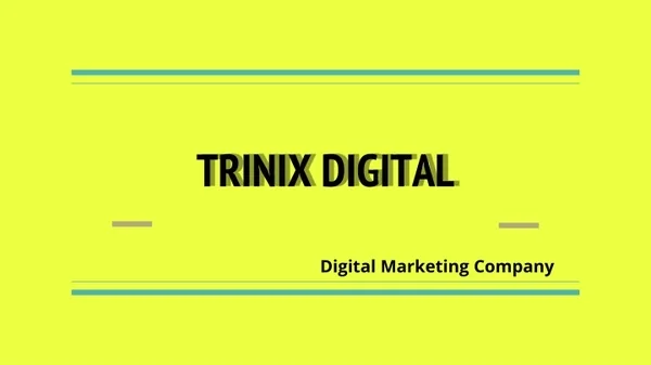 PPT - Online Advertising Company in Kerala | Trinix Digital PowerPoint ...