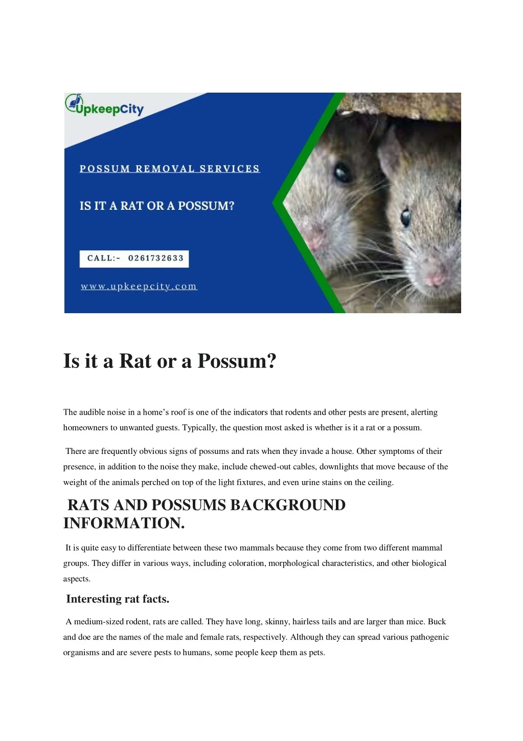 PPT - Is it a Rat or a Possum PowerPoint Presentation, free download ...