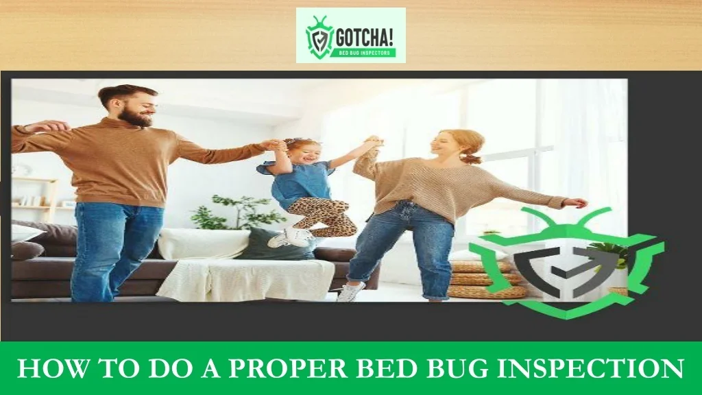 PPT - How To Do A Proper Bed Bug Inspection PowerPoint Presentation ...