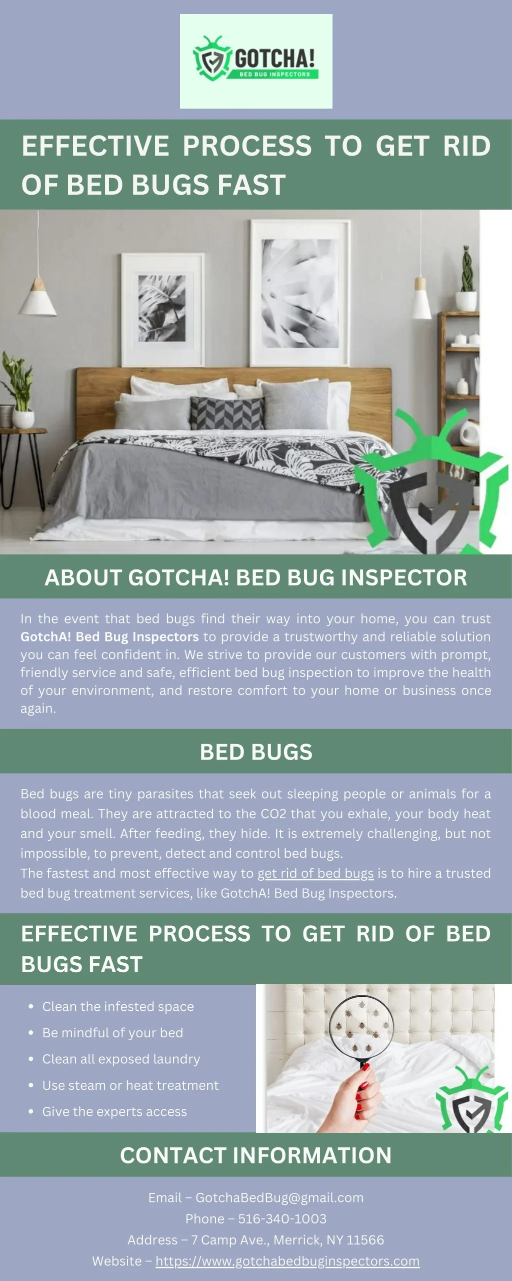 PPT - Effective Process to Get Rid of Bed Bugs Fast PowerPoint ...