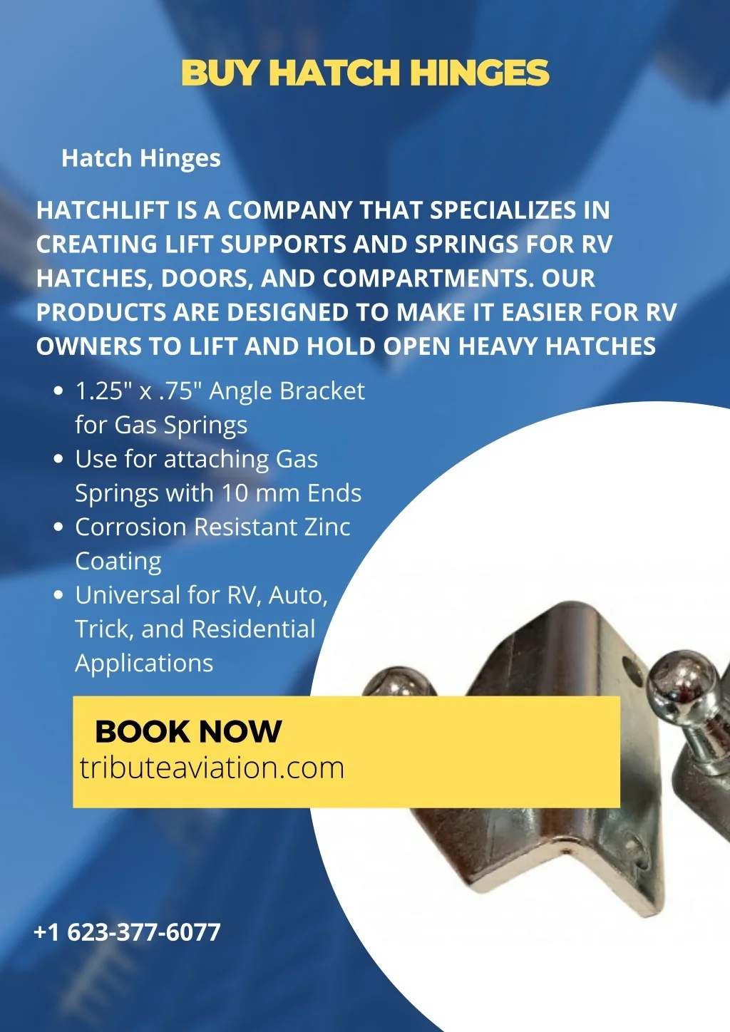 PPT - Buy Hatch Hinges PowerPoint Presentation, free download - ID:12200049