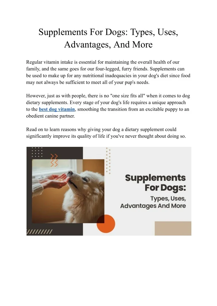 PPT - Supplements For Dogs_ Types, Uses, Advantages, And More ...
