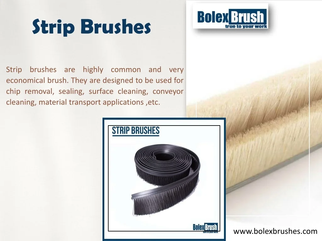 PPT - Strip Brushes PowerPoint Presentation, free download - ID:12204017