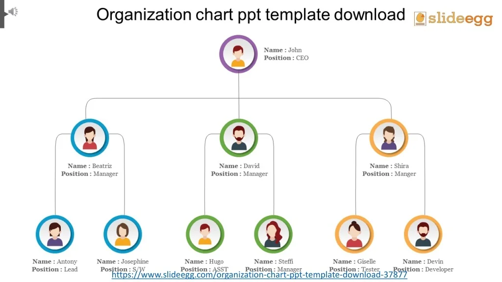 PPT - ORGANIZATION CHART PowerPoint Presentation, free download - ID ...