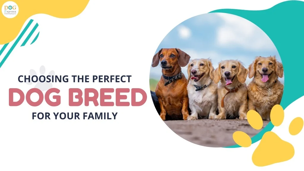 PPT - Choosing the Perfect Dog Breed for Your Family PowerPoint ...