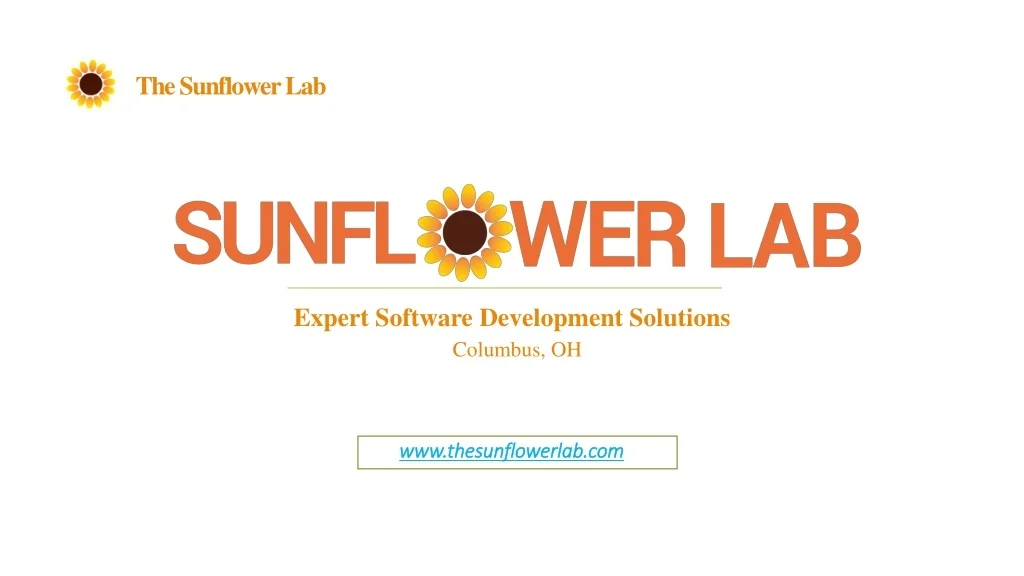 PPT - Philips_The Sunflower Lab PowerPoint Presentation, free download ...