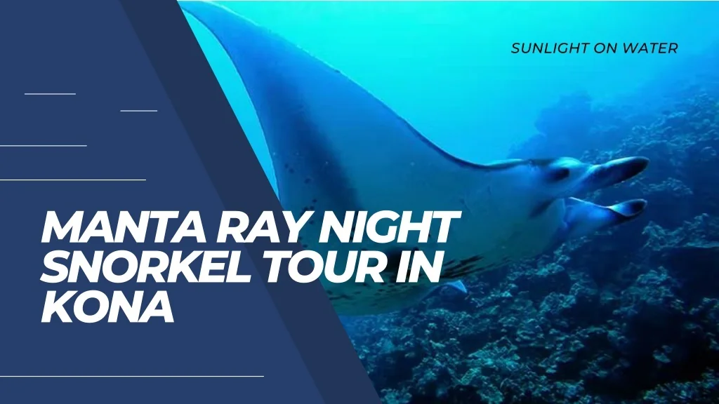 PPT - SUNLIGHT ON WATER - Manta Ray Night Snorkel Tour in Kona ...