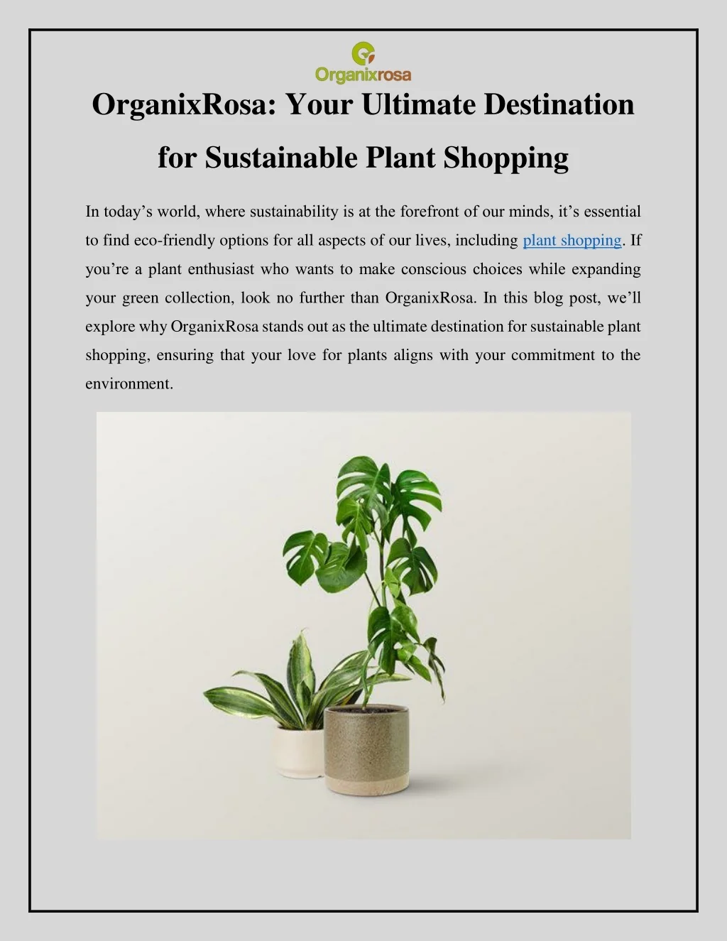 PPT - Your Ultimate Destination for Sustainable Plant Shopping ...