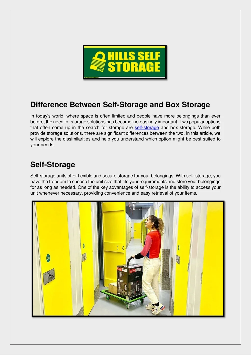PPT - Difference Between Self-Storage and Box Storage PowerPoint ...