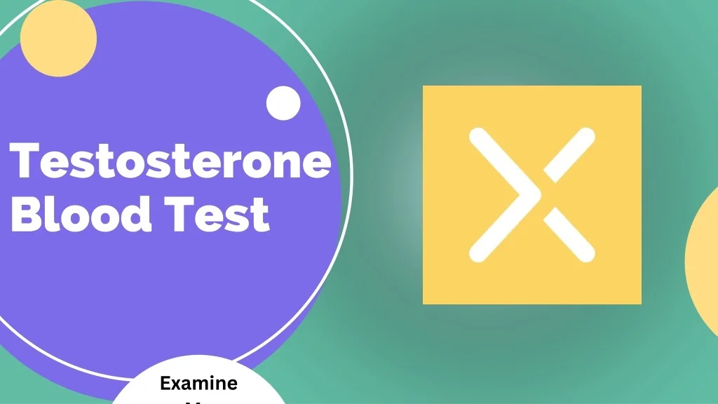 PPT - Testosterone Blood Test PowerPoint Presentation, free download ...