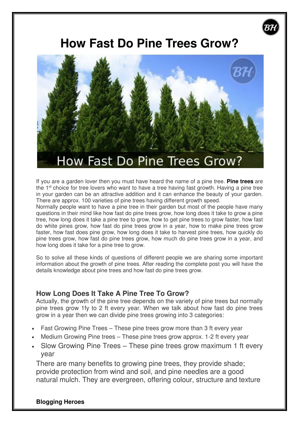 PPT - How Fast Do Pine Trees Grow PowerPoint Presentation, free download - ID:12321180