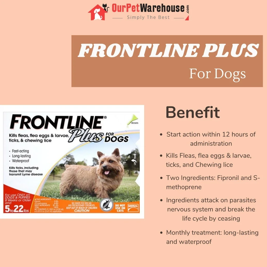 PPT - Frontline Plus For Dogs PowerPoint Presentation, free download ...