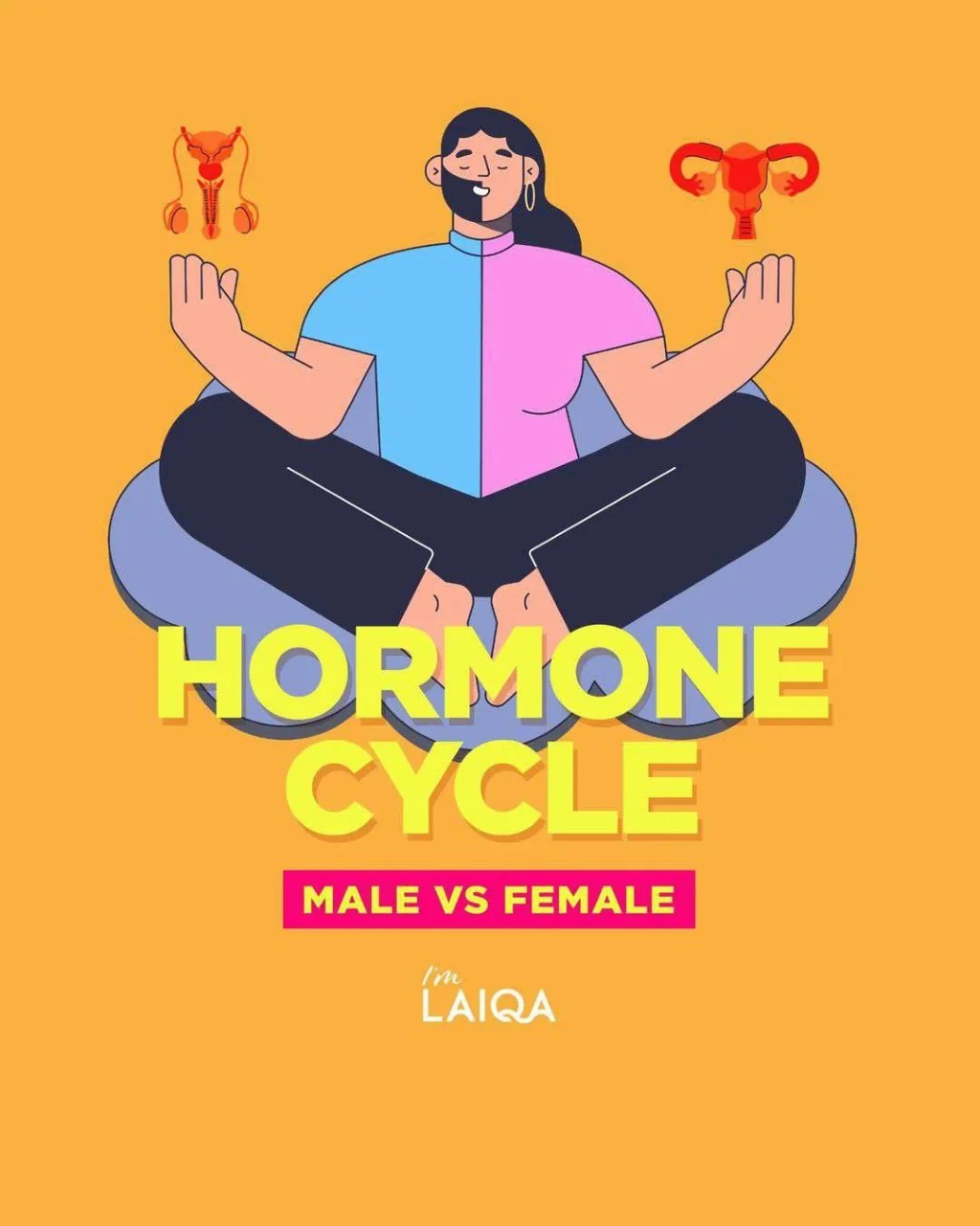 PPT - Hormone Cycle - Men vs Women PowerPoint Presentation, free ...