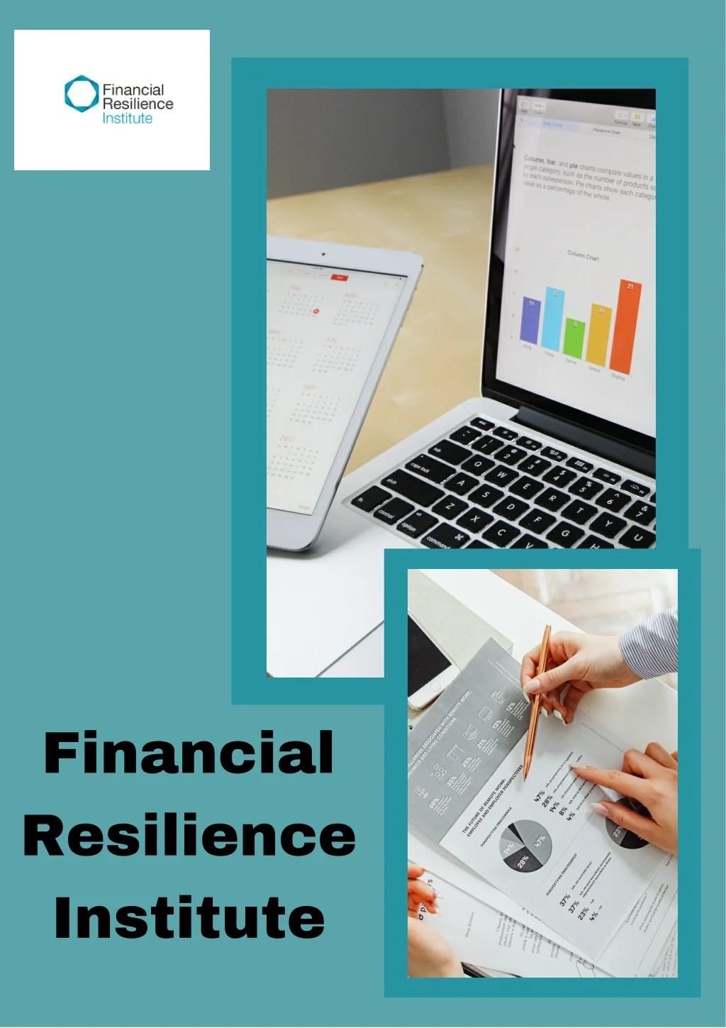PPT - Financial Stress and Vulnerability - Financial Resilience ...