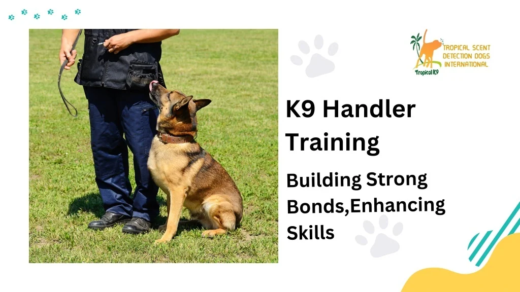 PPT - K9 Handler Training PowerPoint Presentation, free download - ID ...