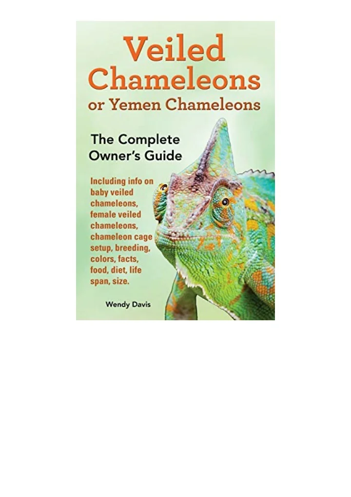 PPT - download pdf Veiled Chameleons or Yemen Chameleons as pets. info ...