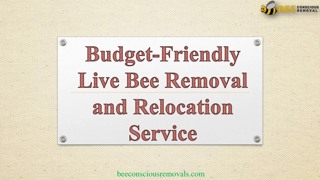 PPT - Budget-Friendly Live Bee Removal and Relocation Service ...