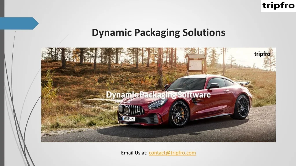 PPT - Dynamic Packaging Solutions PowerPoint Presentation, free ...