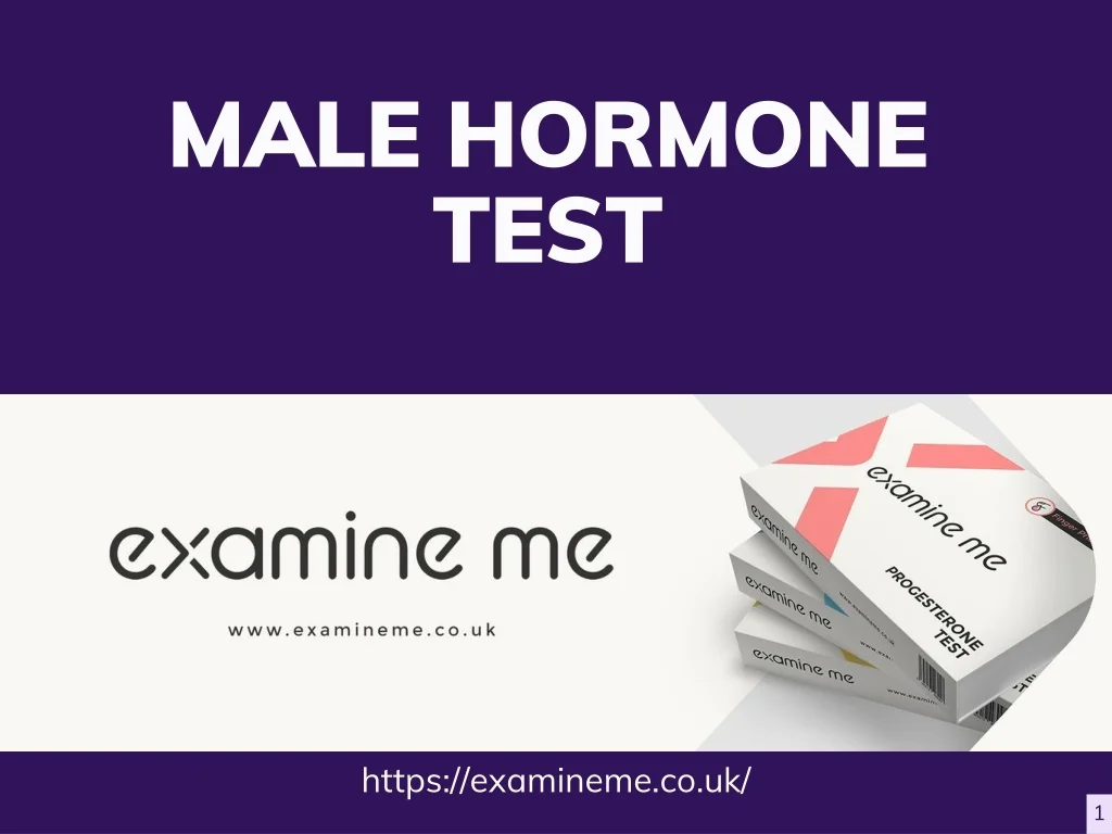 PPT - Male Hormone Test PowerPoint Presentation, free download - ID ...