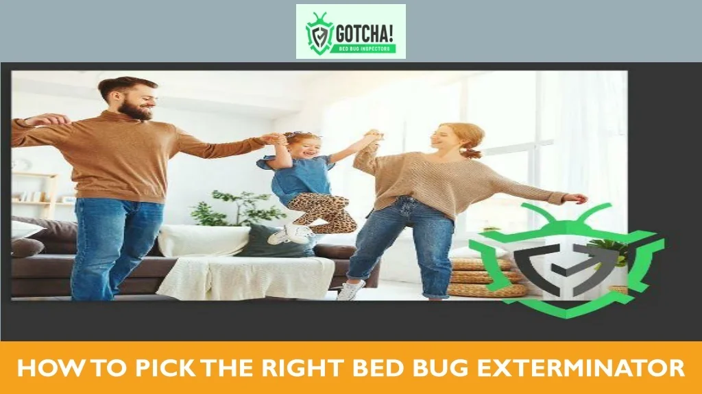 PPT - How to Pick the Right Bed Bug Exterminator PowerPoint ...