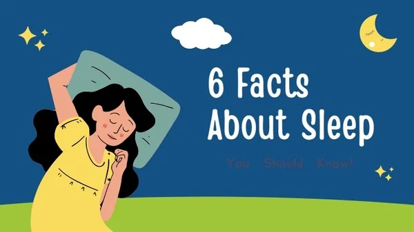 PPT - 6 Facts About Sleep You Should Know! PowerPoint Presentation ...
