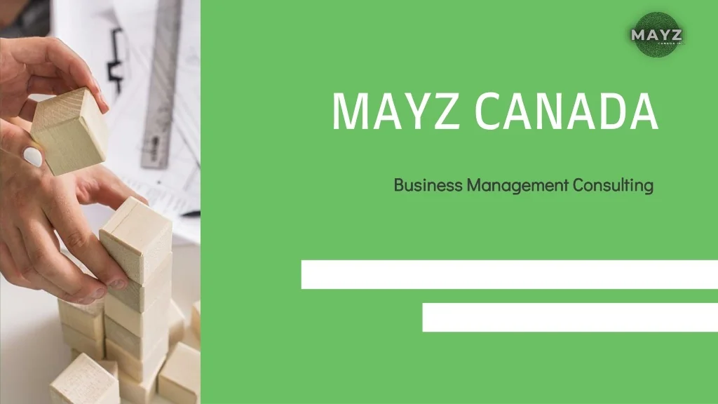 PPT - Mayz Canada PowerPoint Presentation, free download - ID:12510933