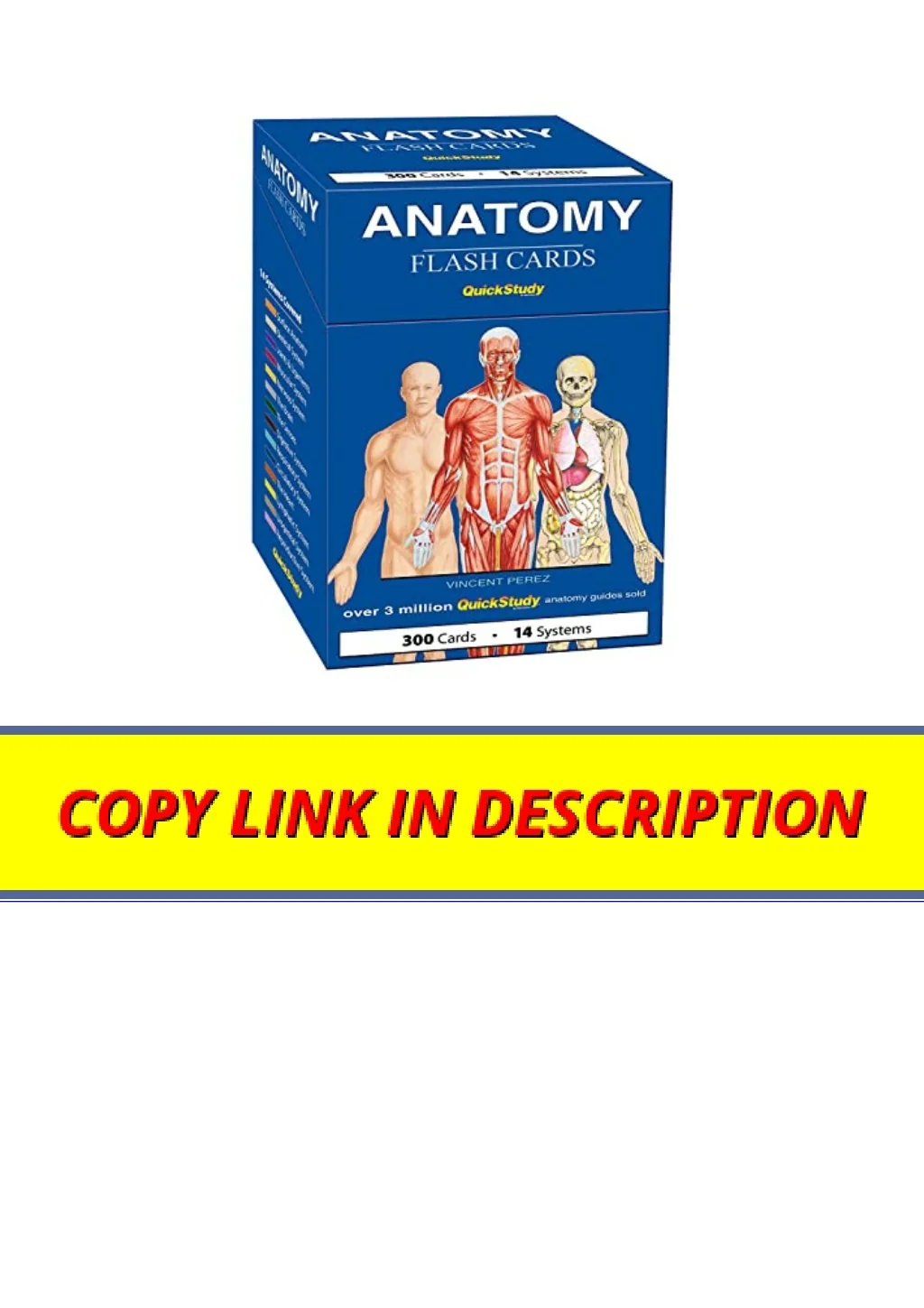 PPT - Download Anatomy Quickstudy free acces PowerPoint Presentation ...