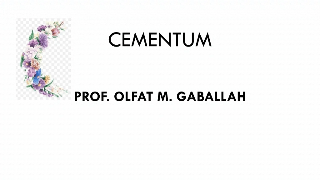 PPT - Cementum PowerPoint Presentation, free download - ID:12559862