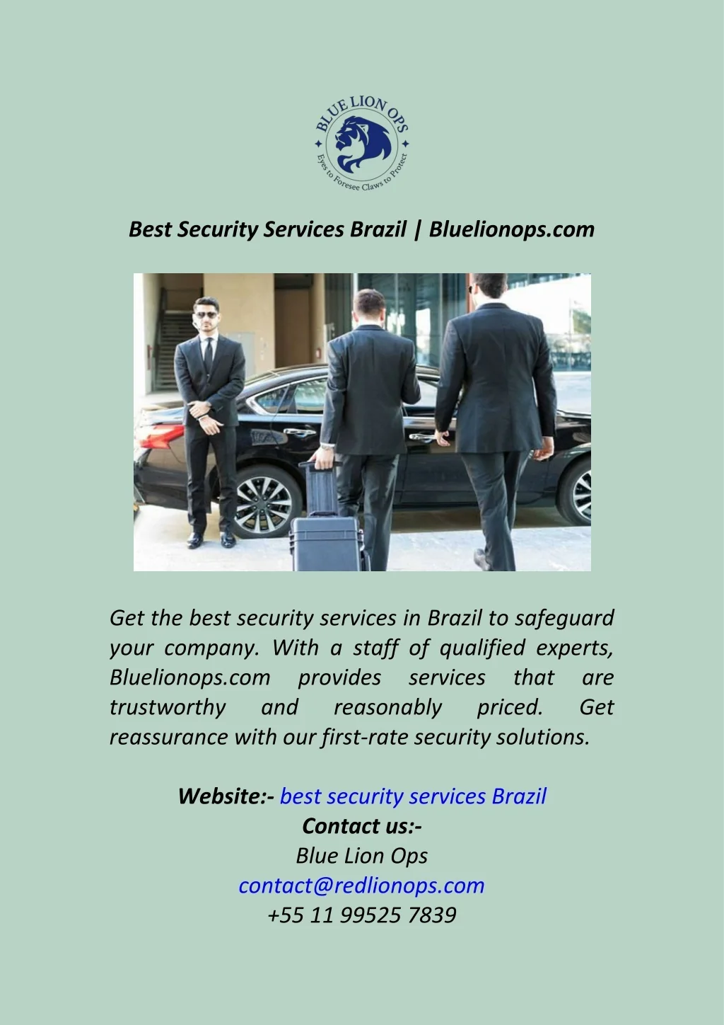 PPT - Best Security Services Brazil Bluelionops.com PowerPoint ...