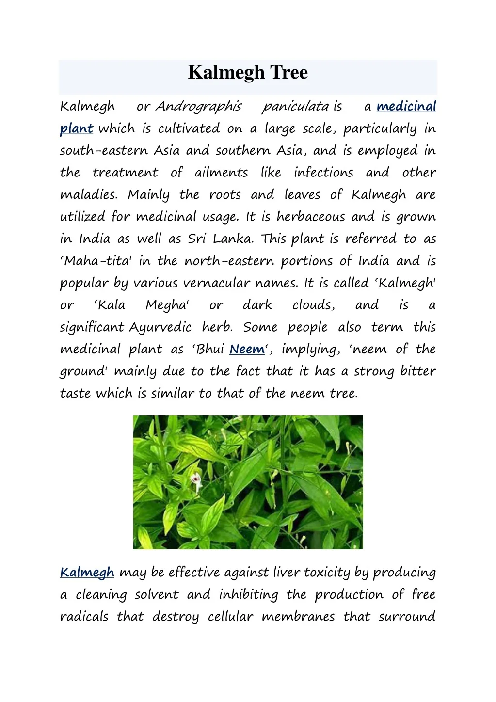 PPT - Kalmegh Tree PowerPoint Presentation, free download - ID:12598088