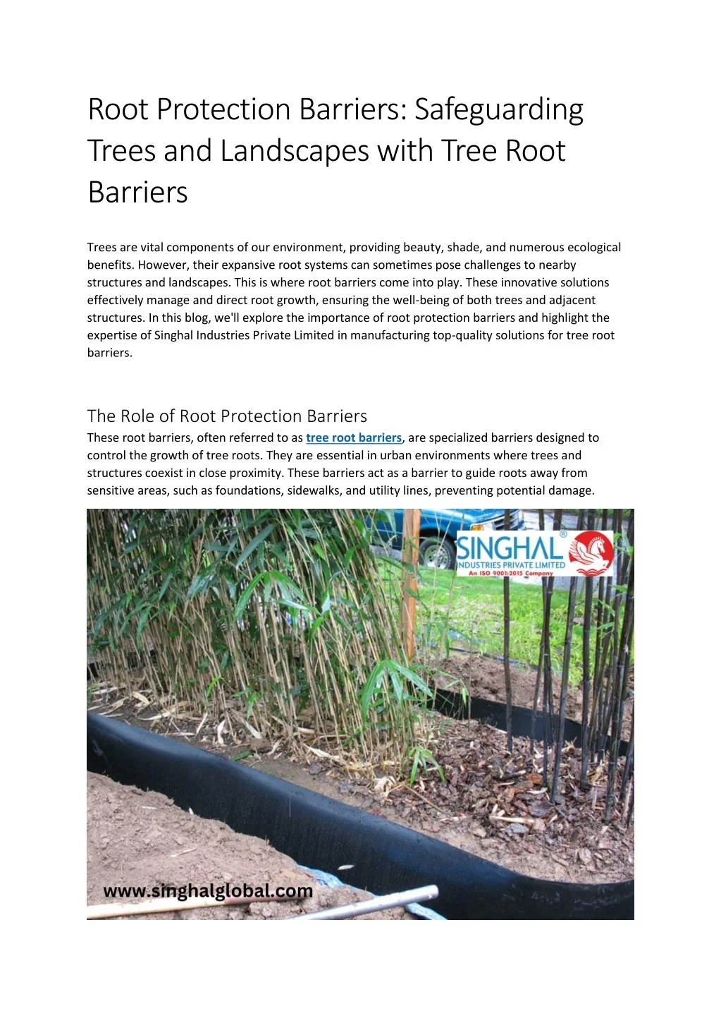 PPT - Root Protection Barriers Safeguarding Trees and Landscapes with ...