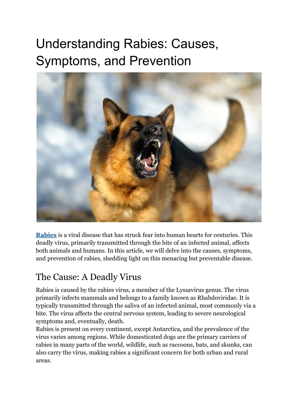 PPT - Understanding Rabies: Causes, Symptoms, and Prevention PowerPoint ...