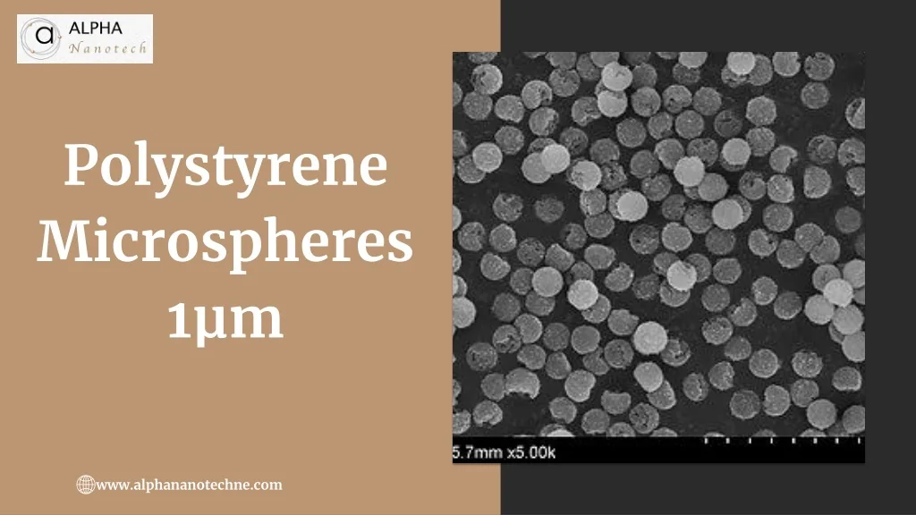 PPT - Polystyrene Microspheres 1μm PowerPoint Presentation, free ...