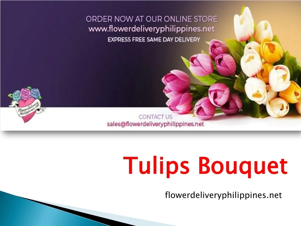 PPT - Tulips Bouquet PowerPoint Presentation, free download - ID:12646377