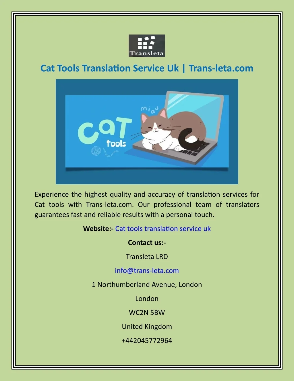 PPT - Cat Tools Translation Service Uk Trans-leta PowerPoint ...