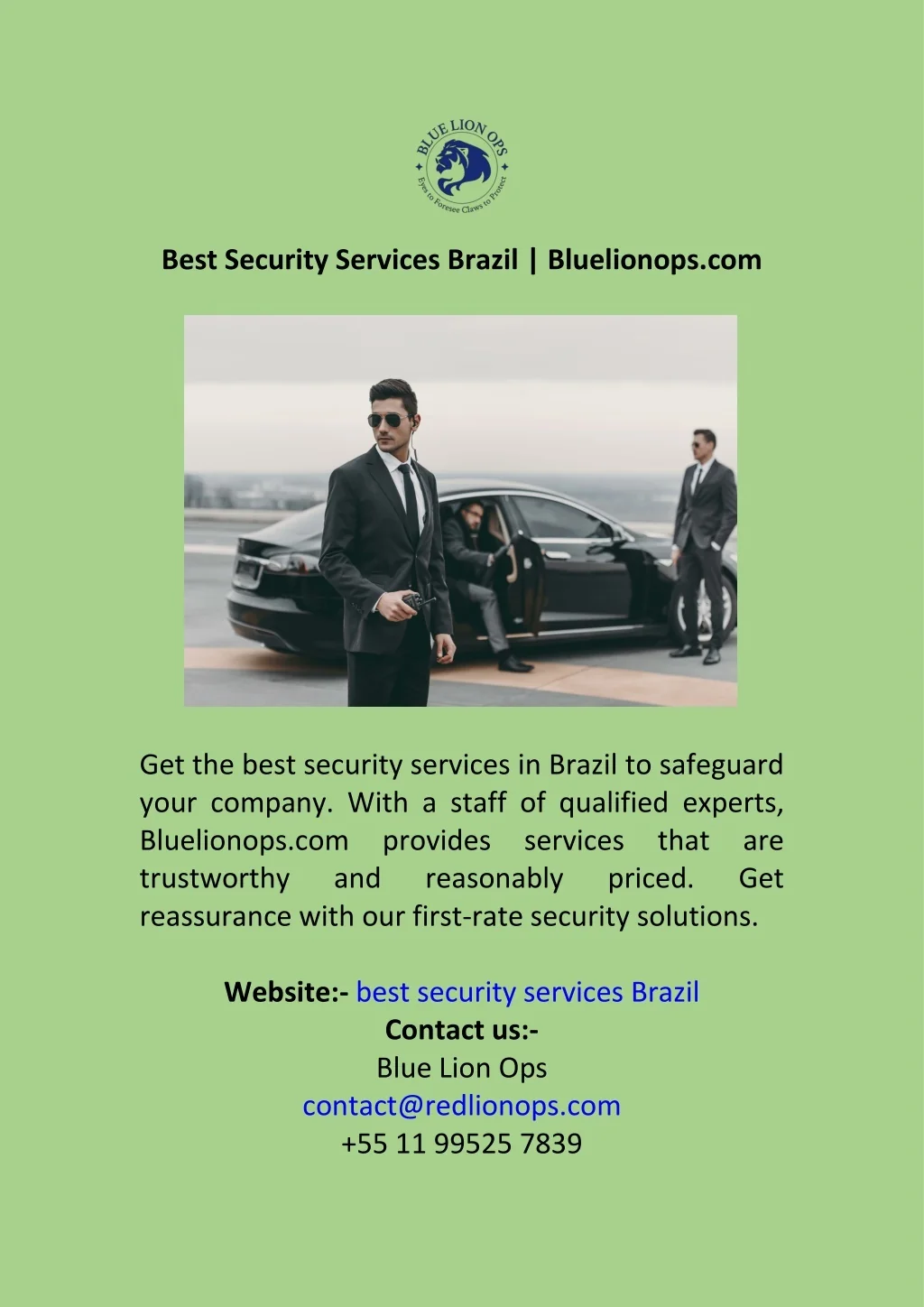 PPT - Best Security Services Brazil Bluelionops.com PowerPoint ...