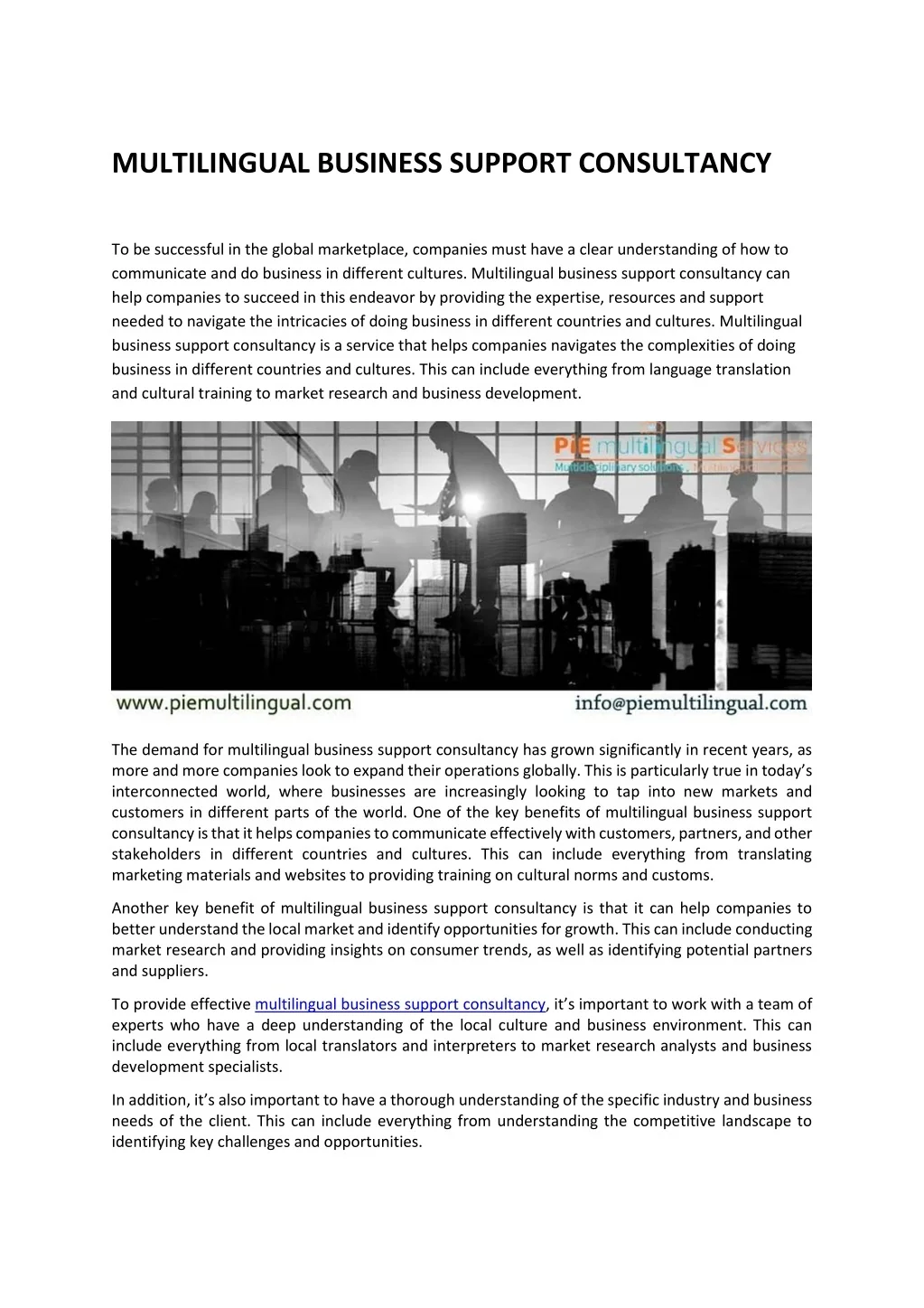 PPT - MULTILINGUAL BUSINESS SUPPORT CONSULTANCY PowerPoint Presentation ...