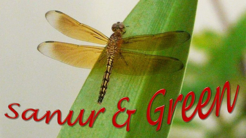 PPT - Bali21 Sanur & Green PowerPoint Presentation, free download - ID ...