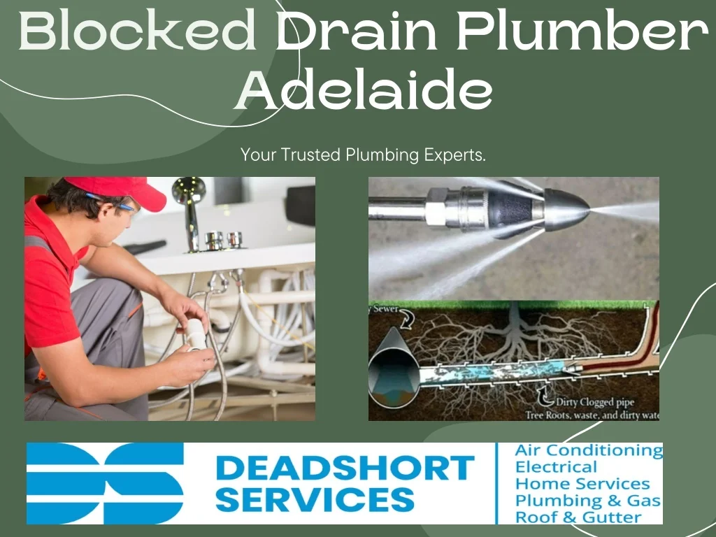 PPT - Blocked Drain Plumber Adelaide-1 PowerPoint Presentation, free ...