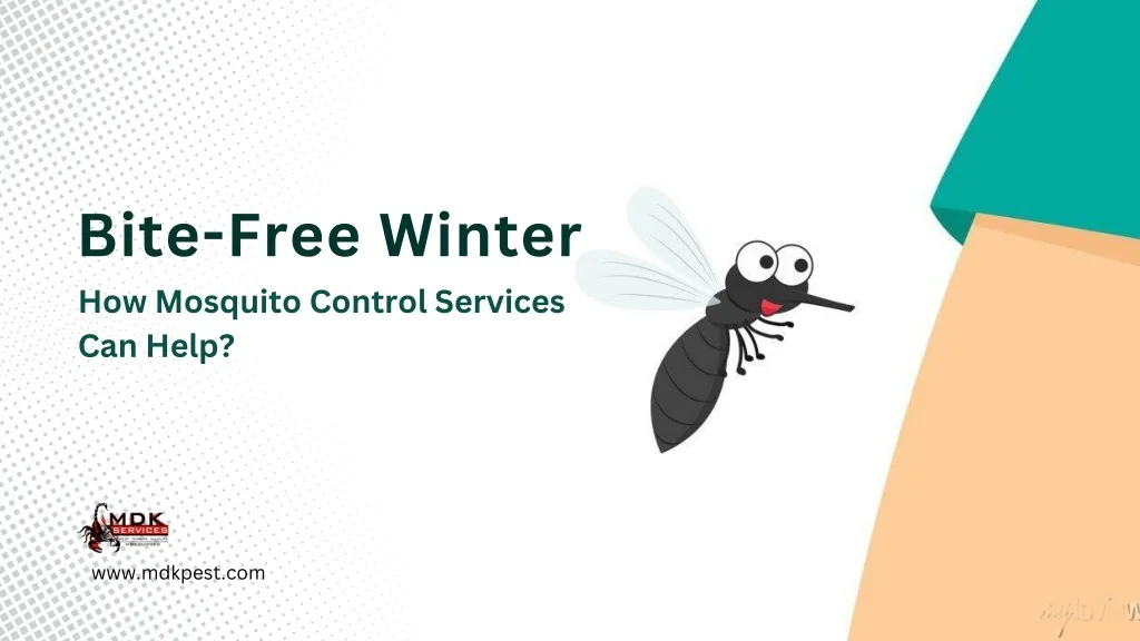 PPT - Bite-Free Winter PowerPoint Presentation, free download - ID:12764891