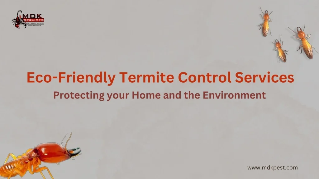 PPT - Eco-Friendly Termite Control Services PowerPoint Presentation ...
