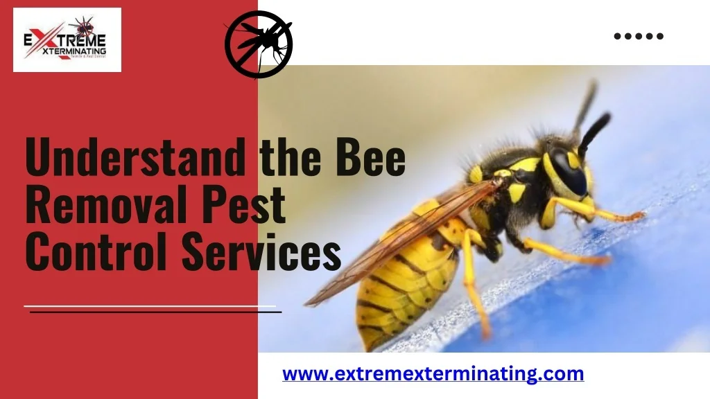 PPT - Understand the Bee Removal Pest Control Services PowerPoint ...