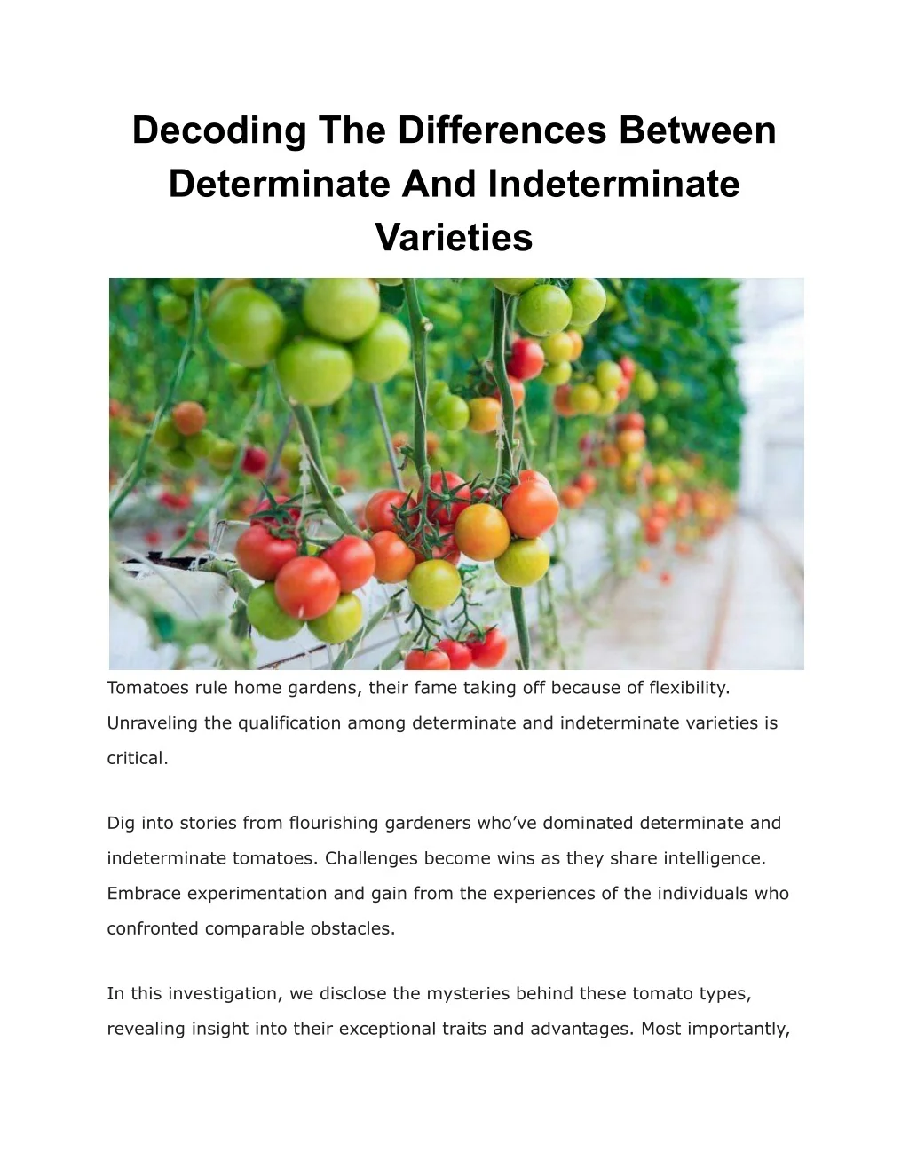 PPT - What is the difference between determinate and indeterminate tomatoes PowerPoint ...