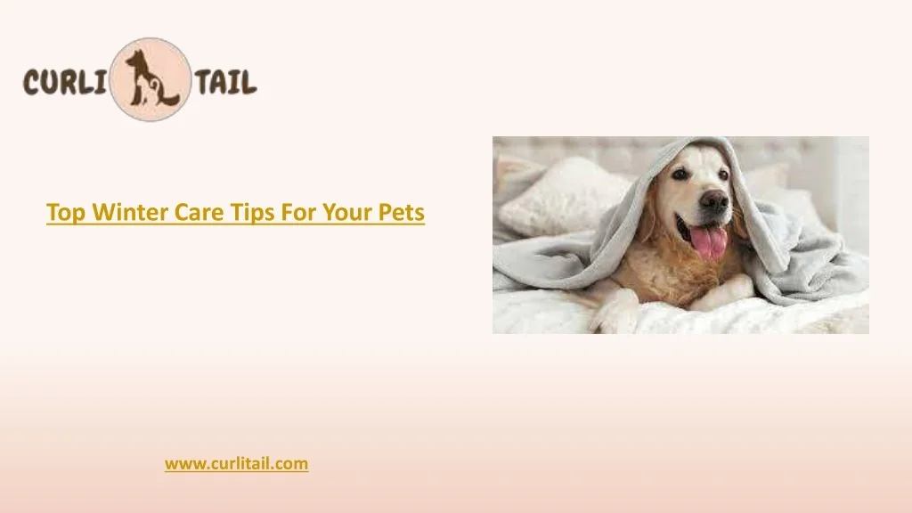 PPT - Top Winter Care Tips For Your Pets PowerPoint Presentation, free ...