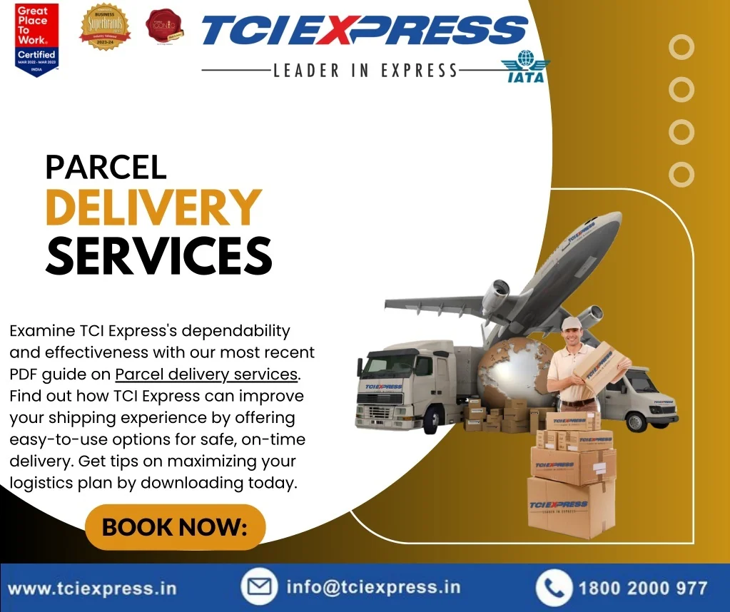 PPT - parcel delivery services PowerPoint Presentation, free download ...