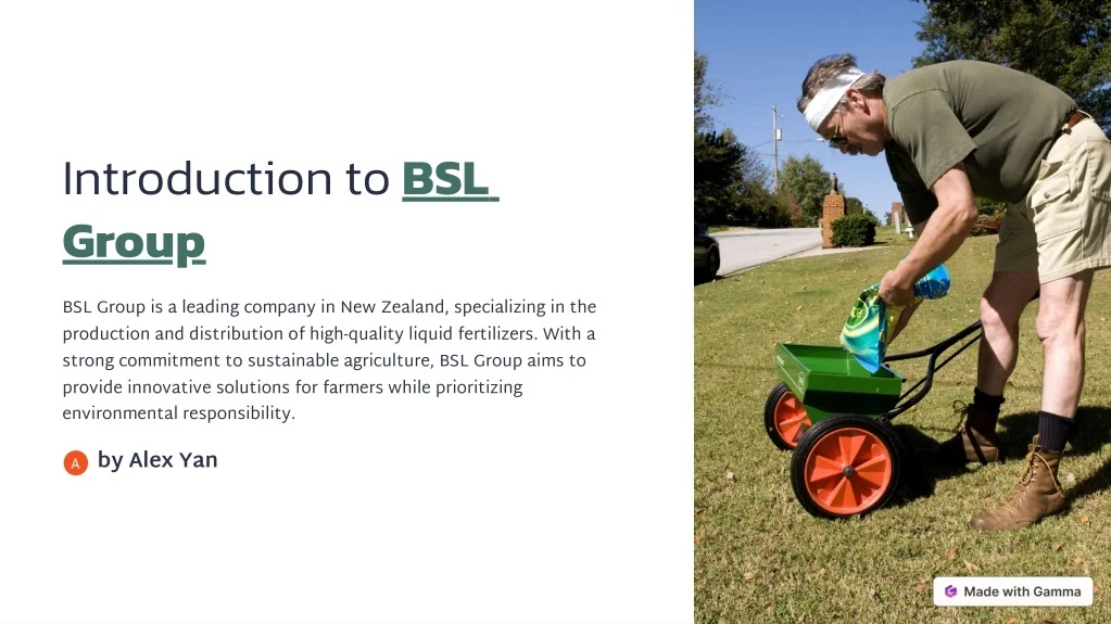 PPT - Introduction-to-BSL-Group PowerPoint Presentation, free download - ID:12855879