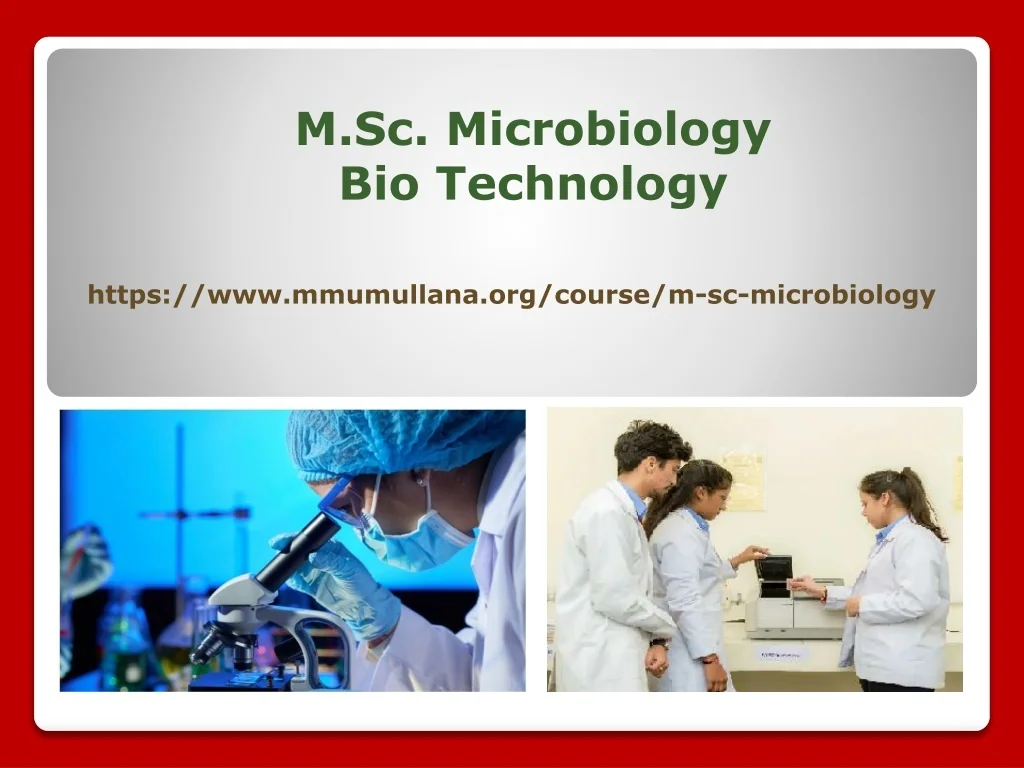 PPT - M.Sc. Microbiology Bio Technology PowerPoint Presentation, free ...