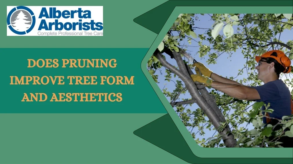 PPT - Does Pruning Improve Tree Form and Aesthetics PowerPoint ...