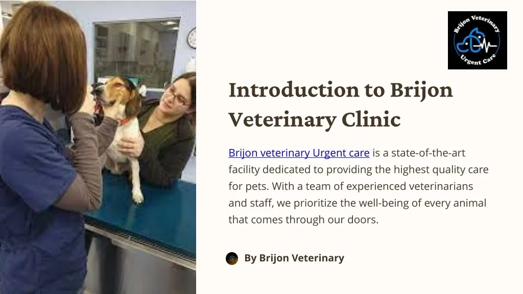 PPT - Introduction-to-Brijon-Veterinary-Clinic.pptx PowerPoint ...