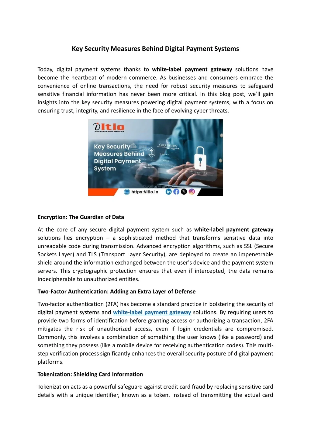 PPT - Key Security Measures Behind Digital Payment Systems PowerPoint ...